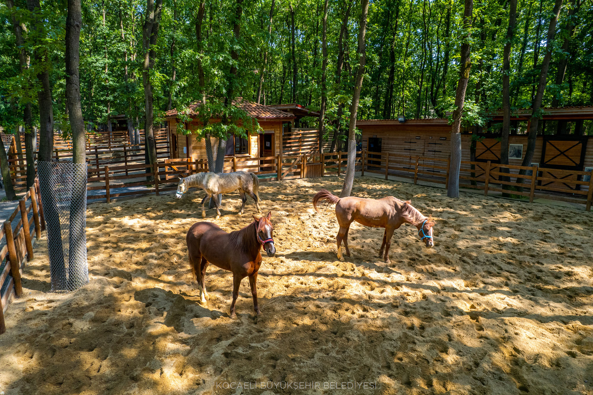 Kartepe – Prime Tur